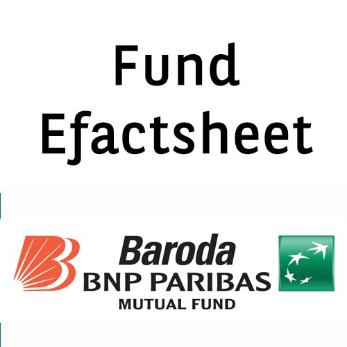 BBNPP Large Cap Fund